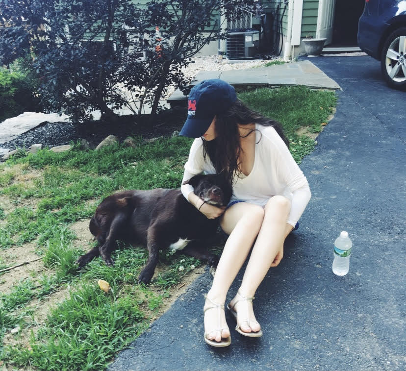 About Sydney | Example-website